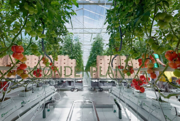 20 May 2025 – Wonderplant’s Greenhouse Investment featured in Greek ...