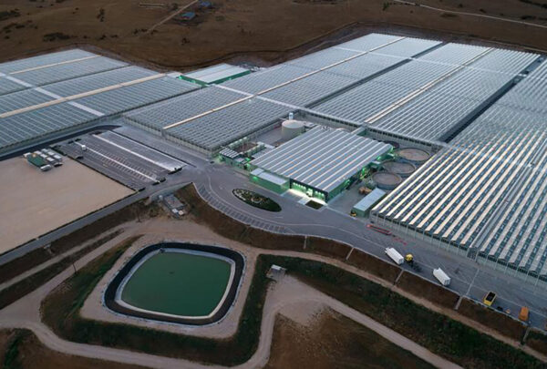 20 May 2025 – Wonderplant’s Greenhouse Investment featured in Greek ...